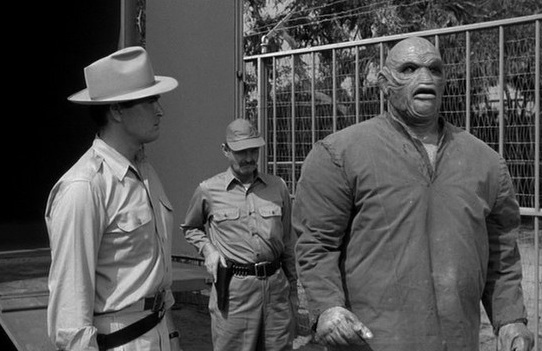 Throwback Thursday: The Gill-Man—A 1950s Rock Star - Mike Sirota