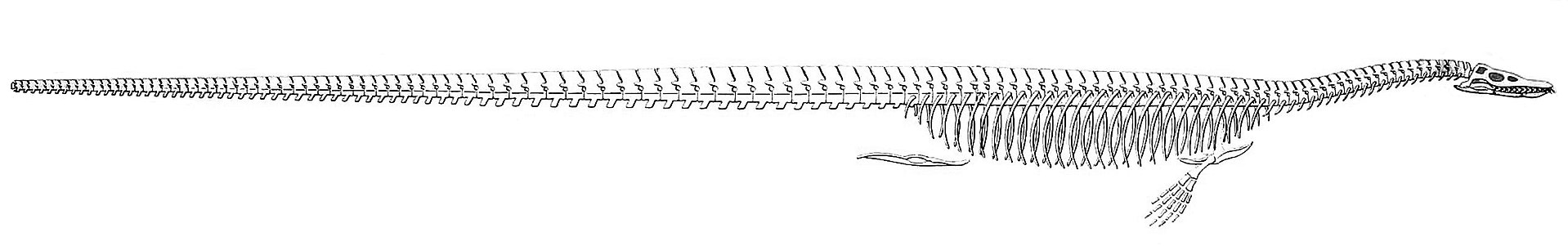 Throwback Thursday: Who Won The Bone Wars? - Mike Sirota