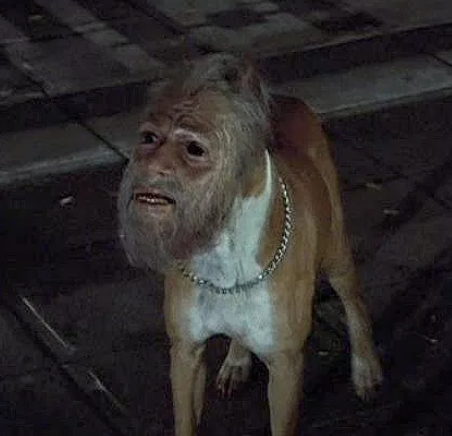 Going To The Dogs - Mike Sirota